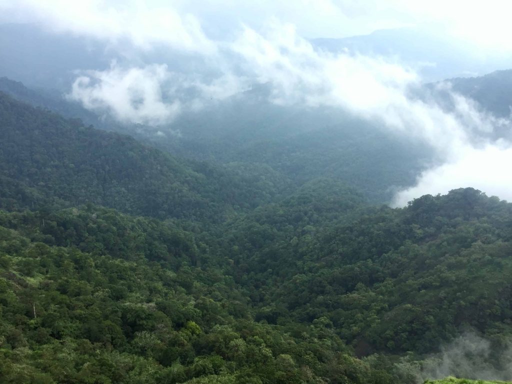 Day Two: Three days in Thekkady - Kuttikkanam, Vagamon, Mottakunnu and ...